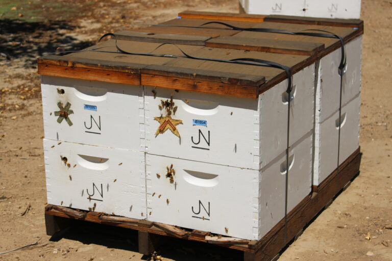 Apiary Protection – Agriculture / Weights & Measures