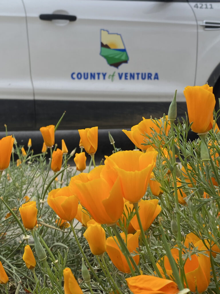 Contact Us – Agriculture / Weights & Measures