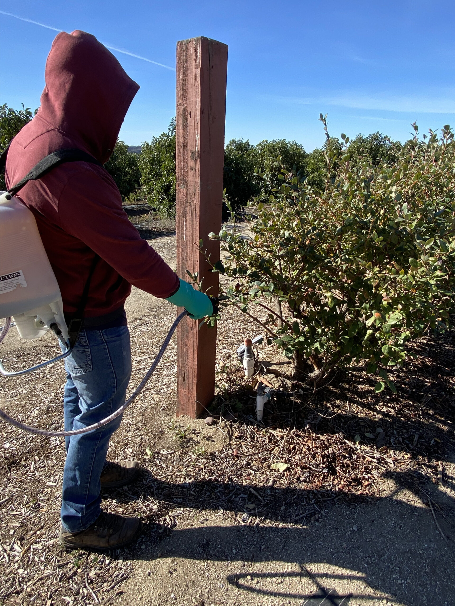 Pesticide Use Reporting – Agriculture / Weights & Measures