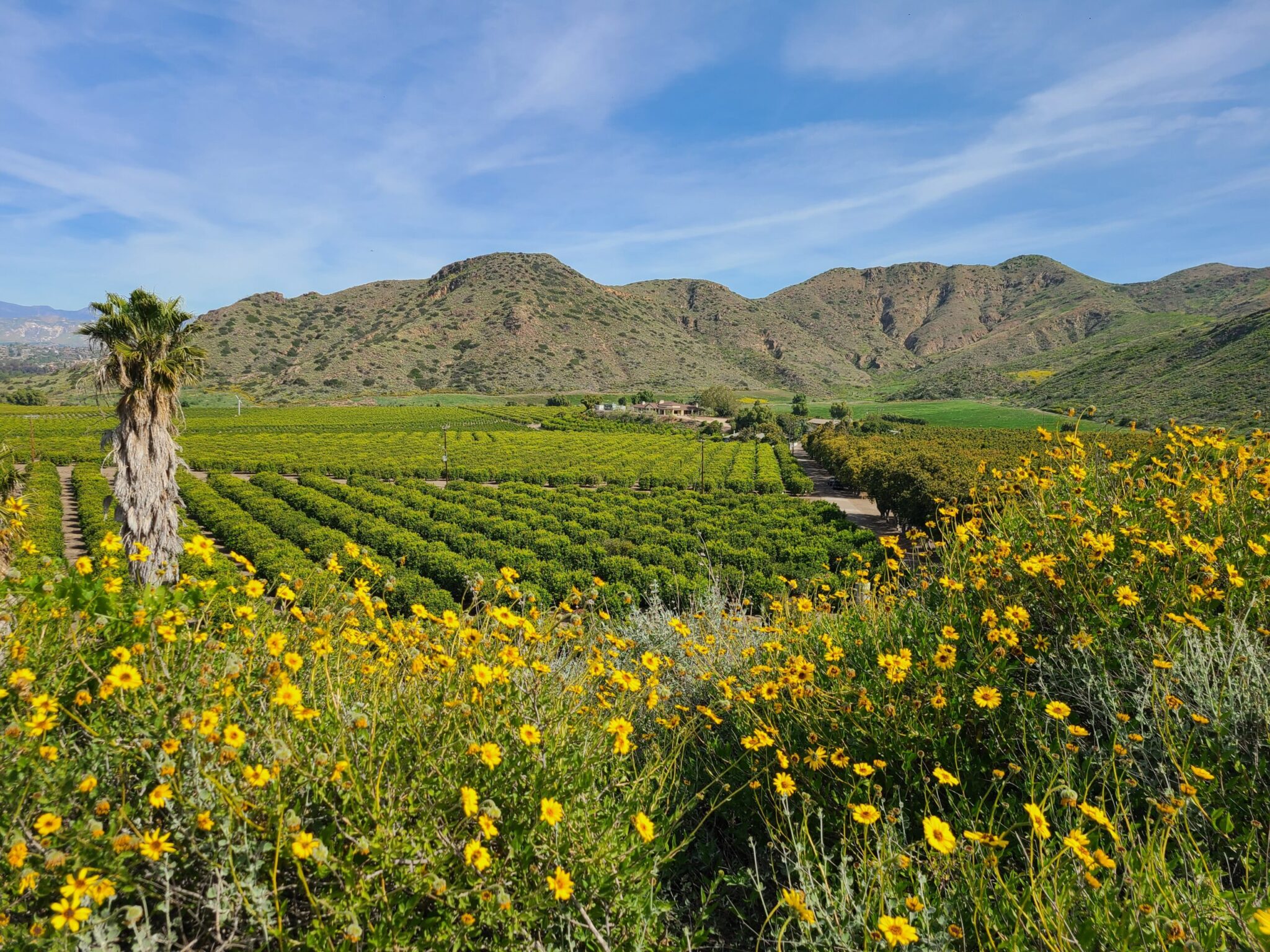 APAC – Agriculture / Weights & Measures