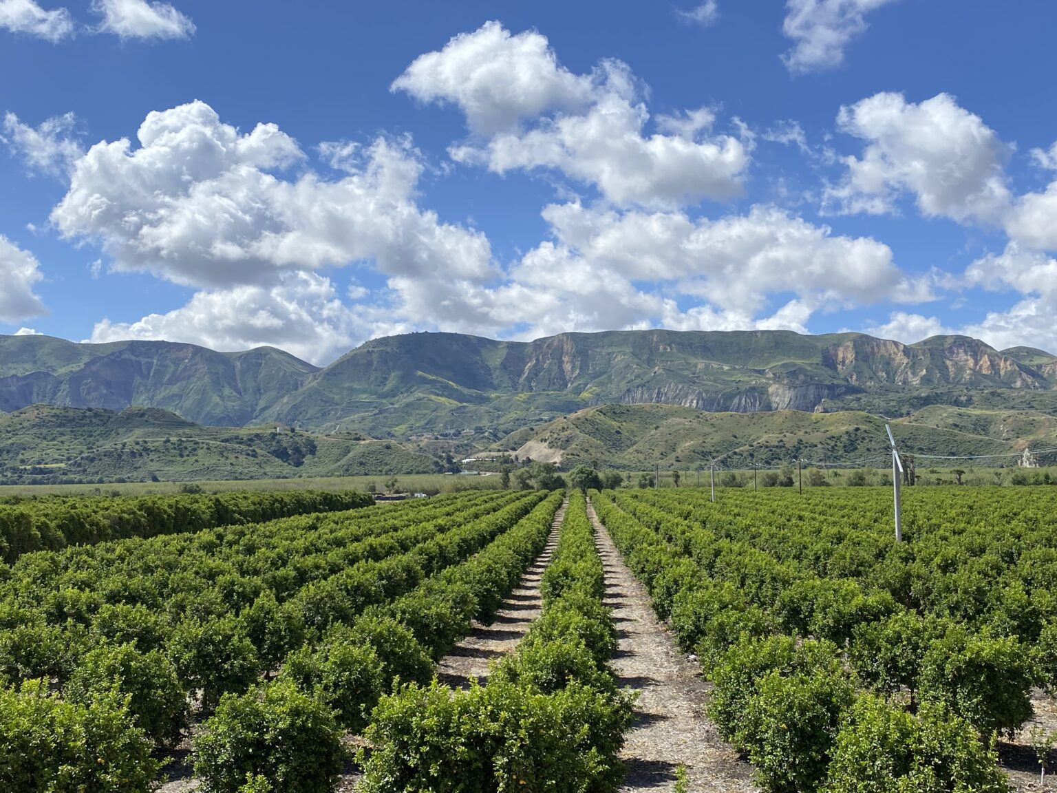 APAC – Agriculture / Weights & Measures