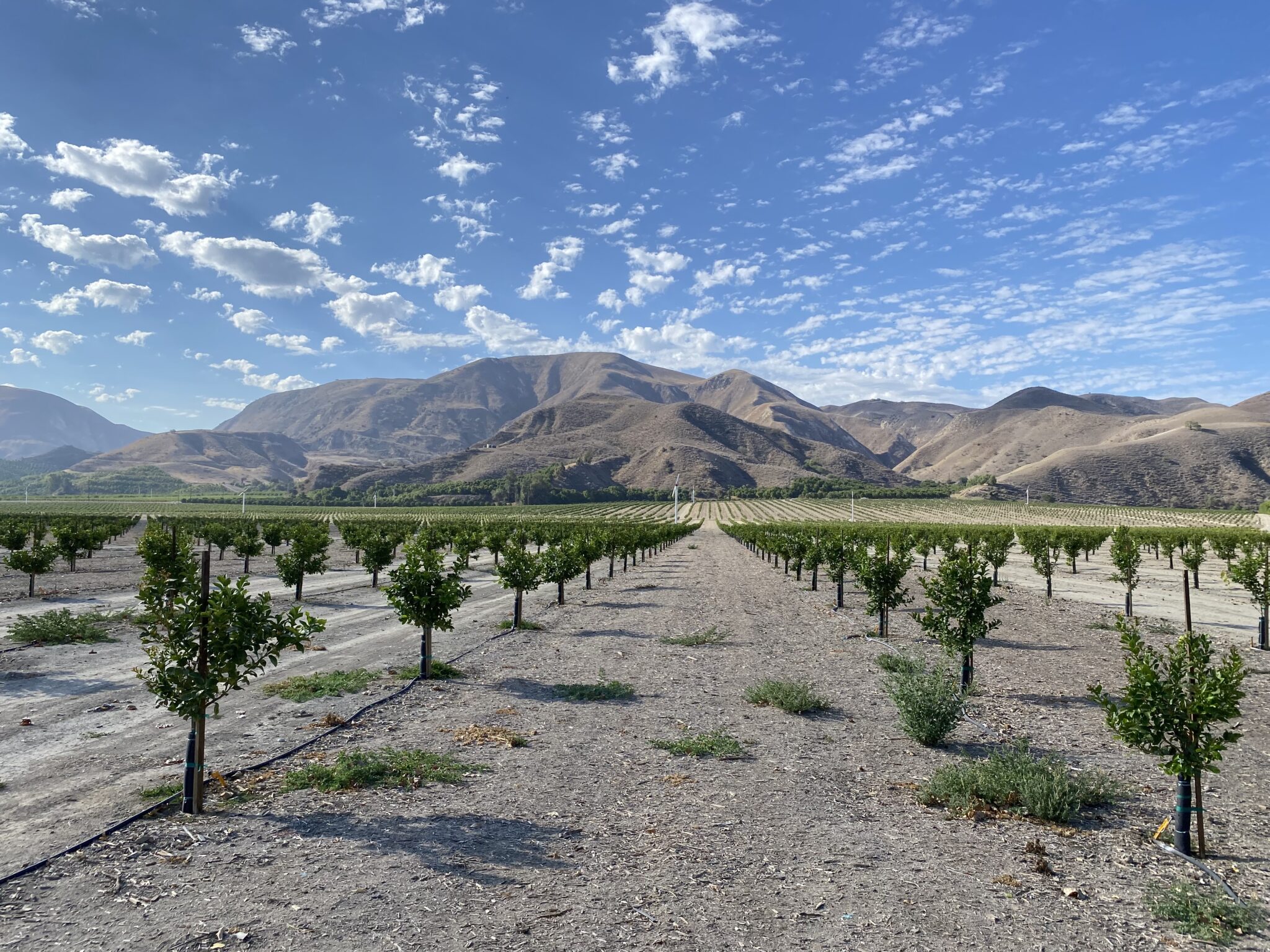 SALC Grants – Agriculture / Weights & Measures