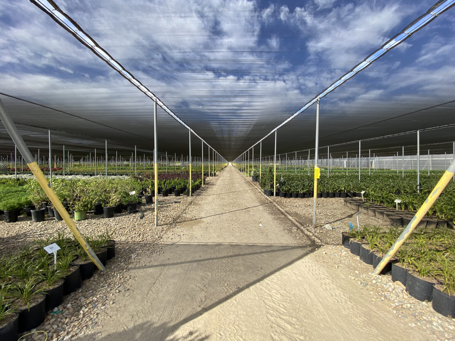 Nursery Inspection – Agriculture / Weights & Measures